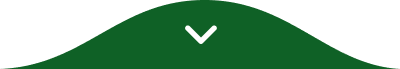 Savvy Smart | Index